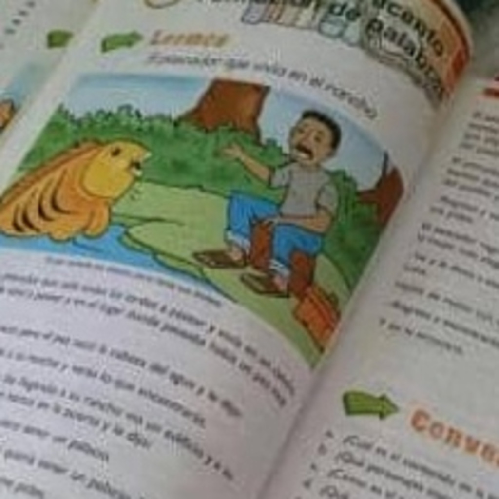 María Angela Zampogna - Tareas Dirigidas - Autónoma | XING