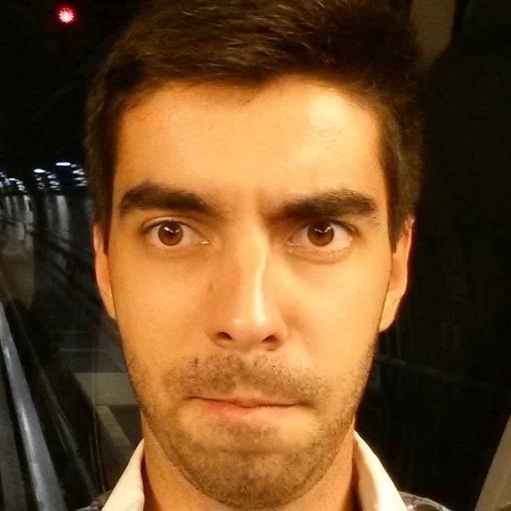 Georgi Lichev - Junior Integrations Developer - firstbird GmbH | XING