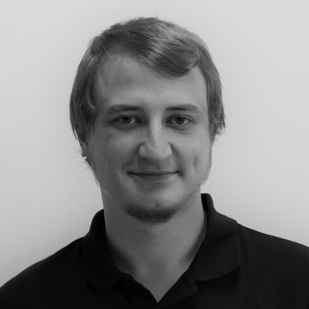 Alexander Mildner - Computer Science/Data Engineering and Data Analyis ...