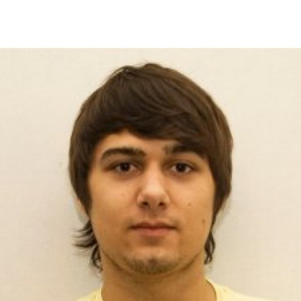 Alex Panov - Software Engineer - SEARCHTEQ GmbH | XING