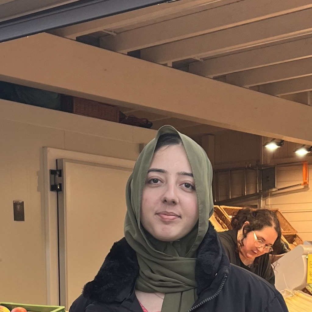 Dua Ali - International Management and Information systems ...