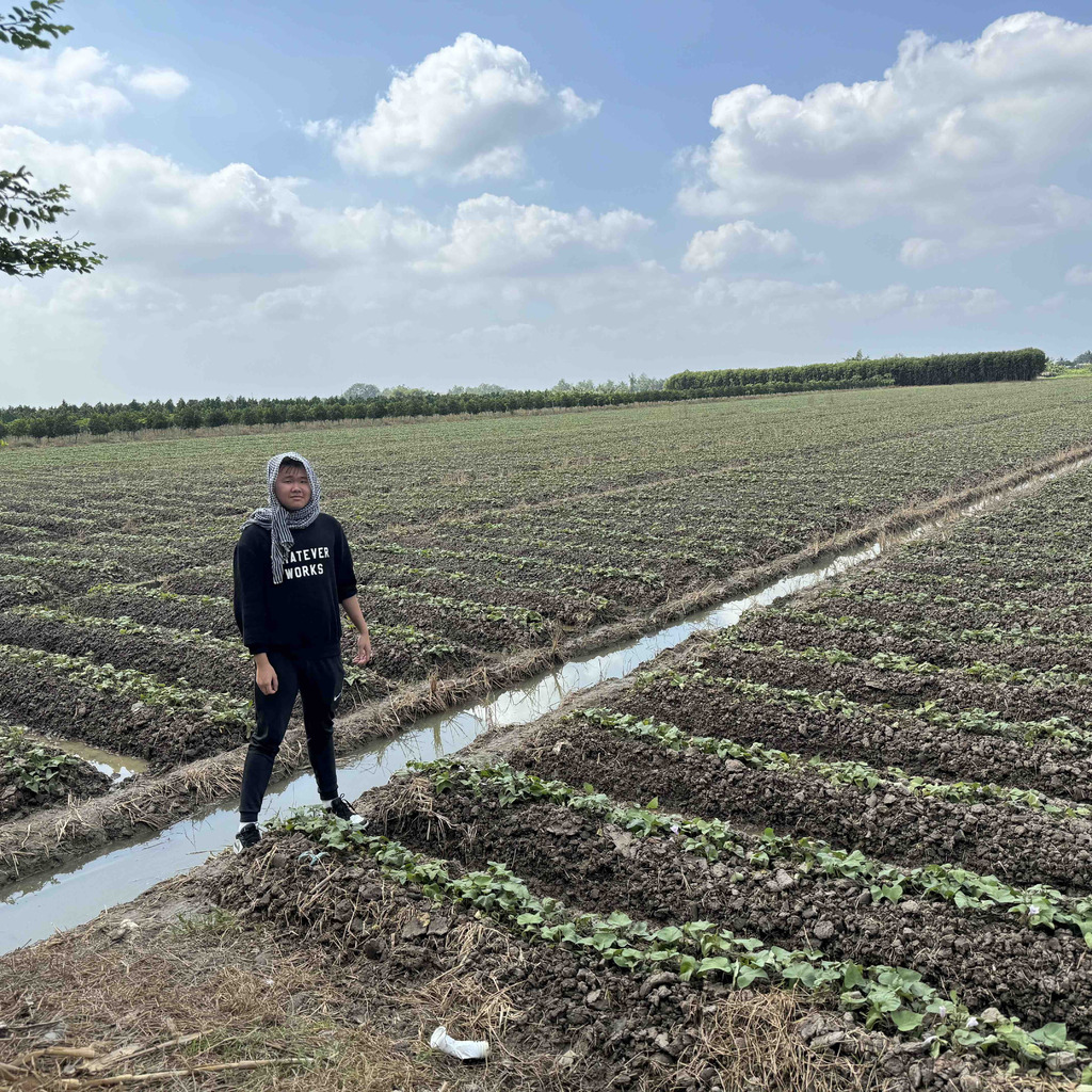 Daniel Luong - Exporter - Vizee | XING