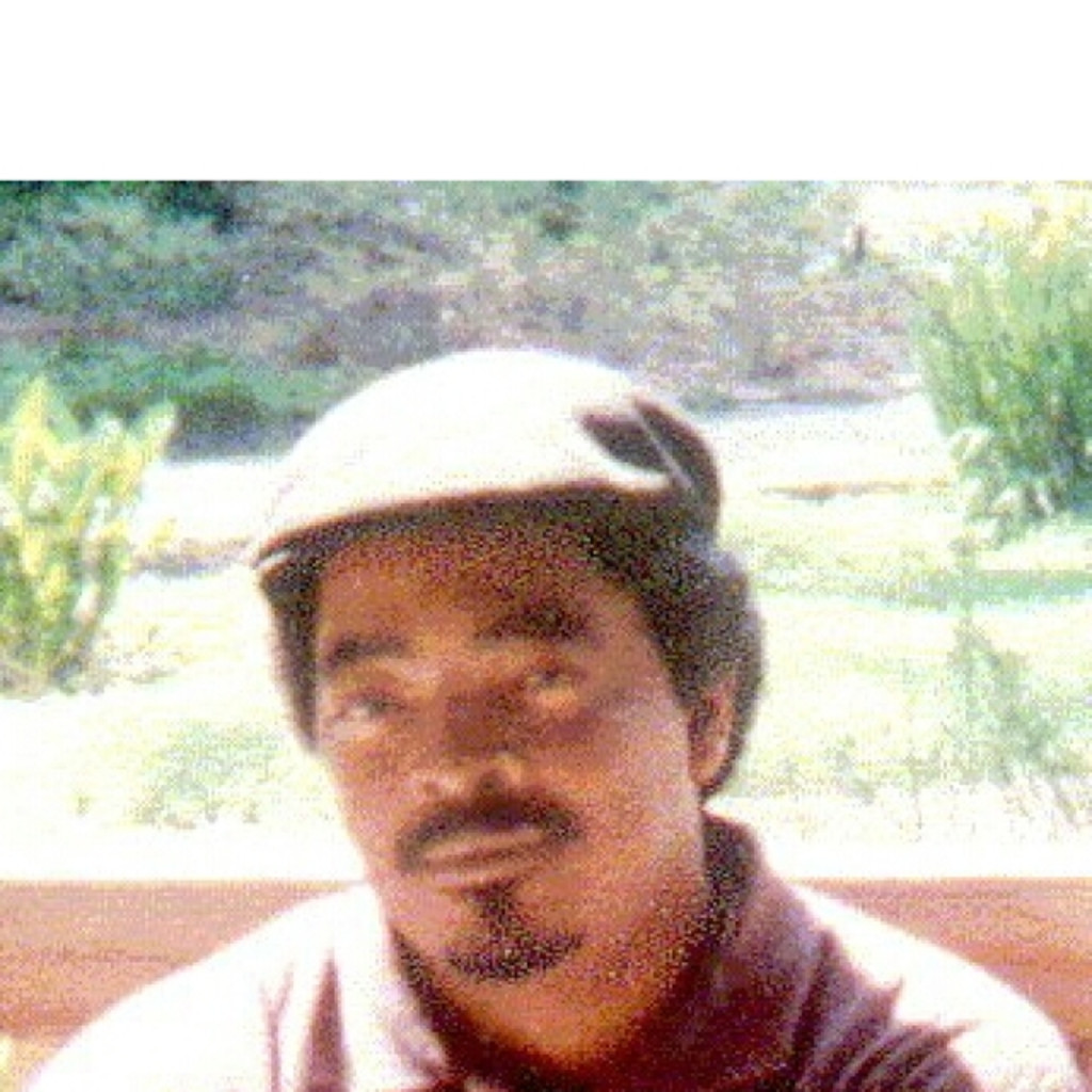 Mickey Hayes - CIO - Clean and Green, LLC | XING