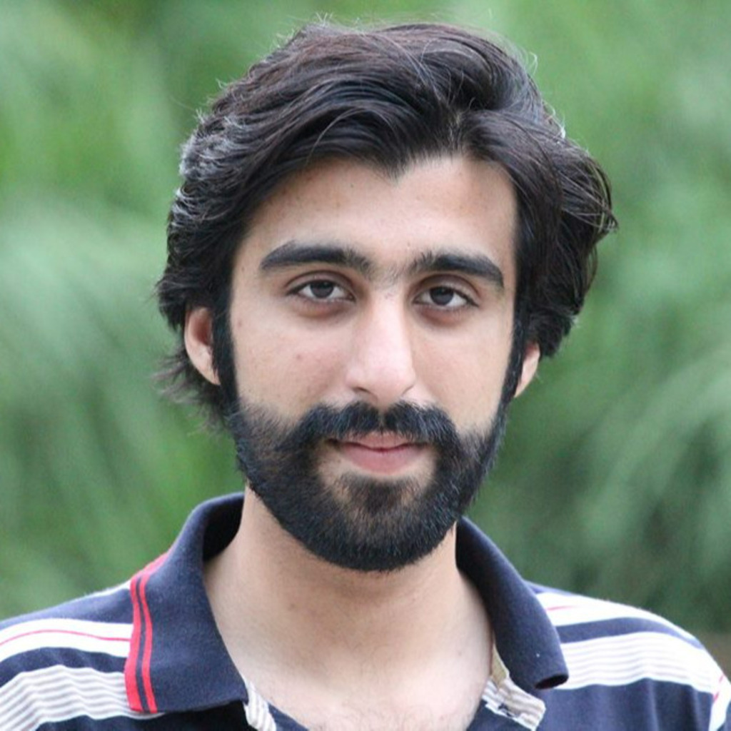 Ali Asif Bhatti: Ausbildung und Berufserfahrung | XING