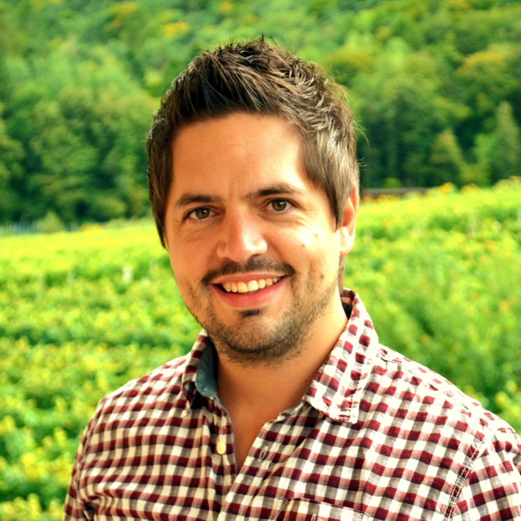 Michael Giger - Chief Financial Officer (CFO) - RC Tritec AG | XING