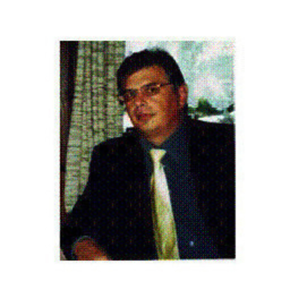 Thomas Bertram - Gesellschafter - n1.com s.a.r.l | XING