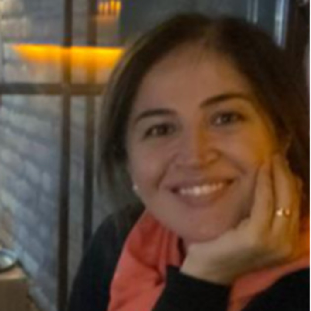 Dipl.-Ing. Pinar Ciftci - Project Planning and Proposal Engineer ...