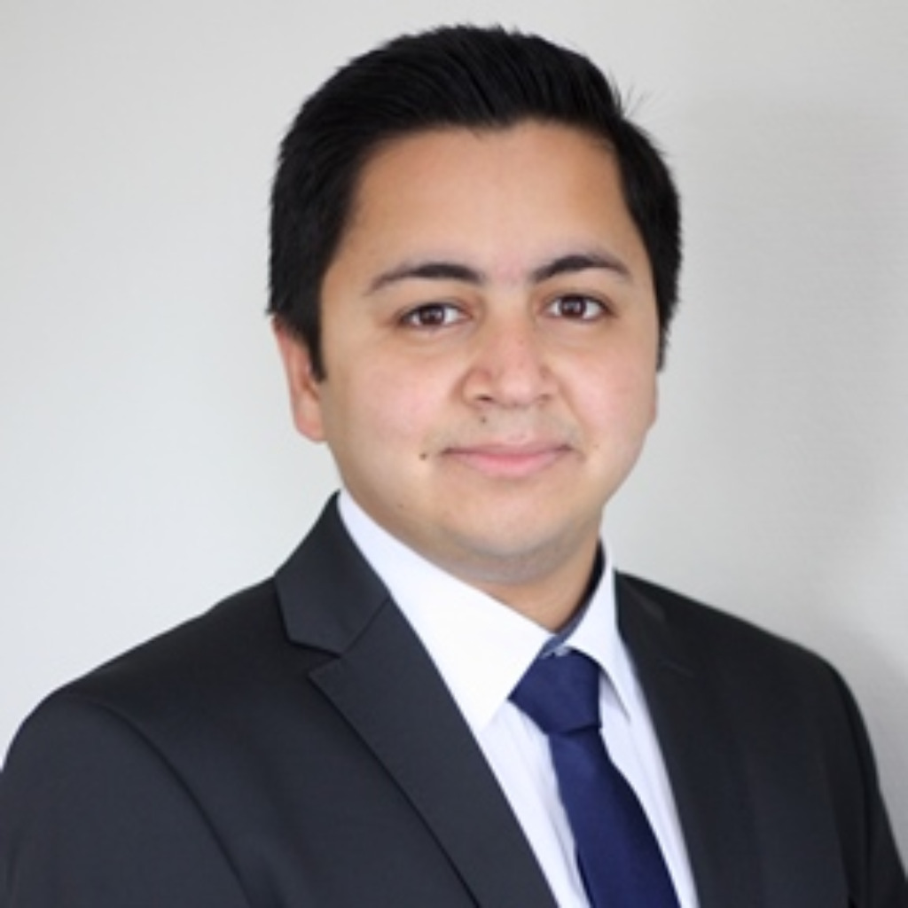 Mahdi Ansari - Project Associate - Innosquared GmbH - a Guidepoint Company | XING