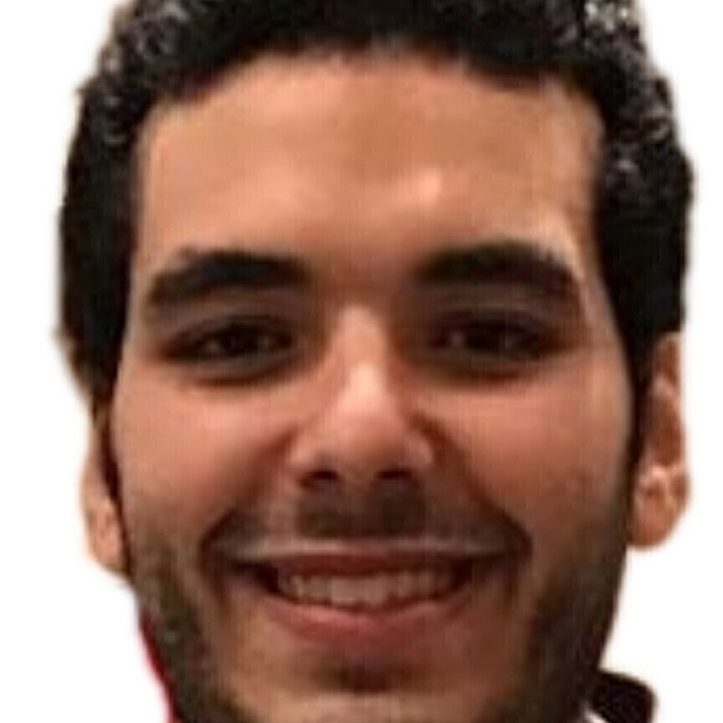 Ahmed Mohamed Abdeen - Solution & Delivery Manager - LotusFlare | XING