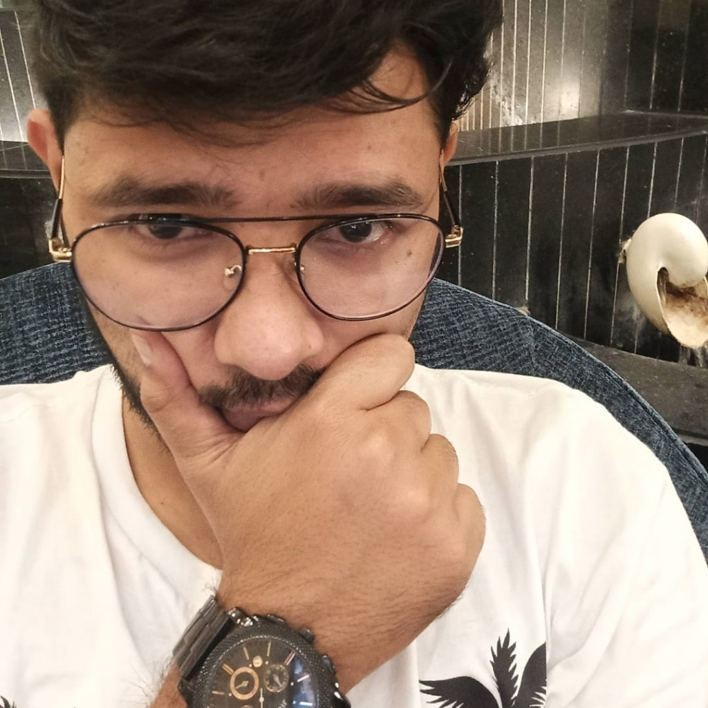 Rajat Bhatt - Principal Business Analyst - Proven Consult | XING