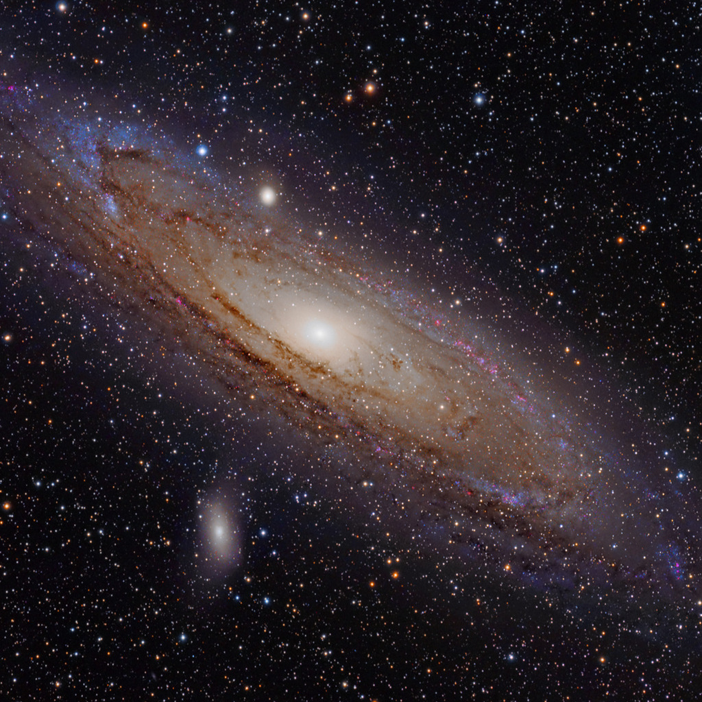 Sebastian Stracke - Video Content Creator - Scheppach Group | XING