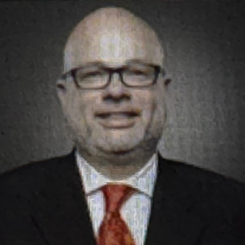 Frank Lenz - Senior Business Analyst - Lenz Consulting | XING