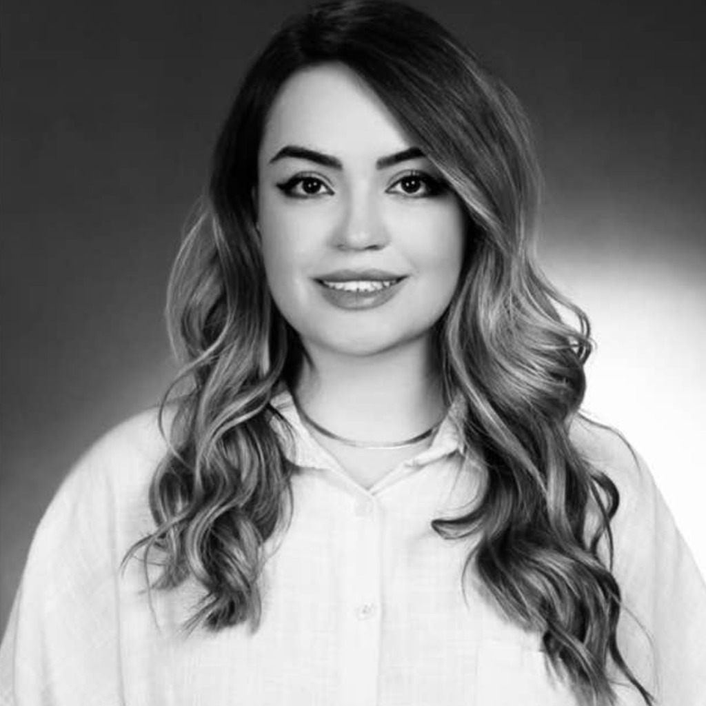 Elham Yousefi - Technical Sales Account Manager - Arian Kish Tailored ...