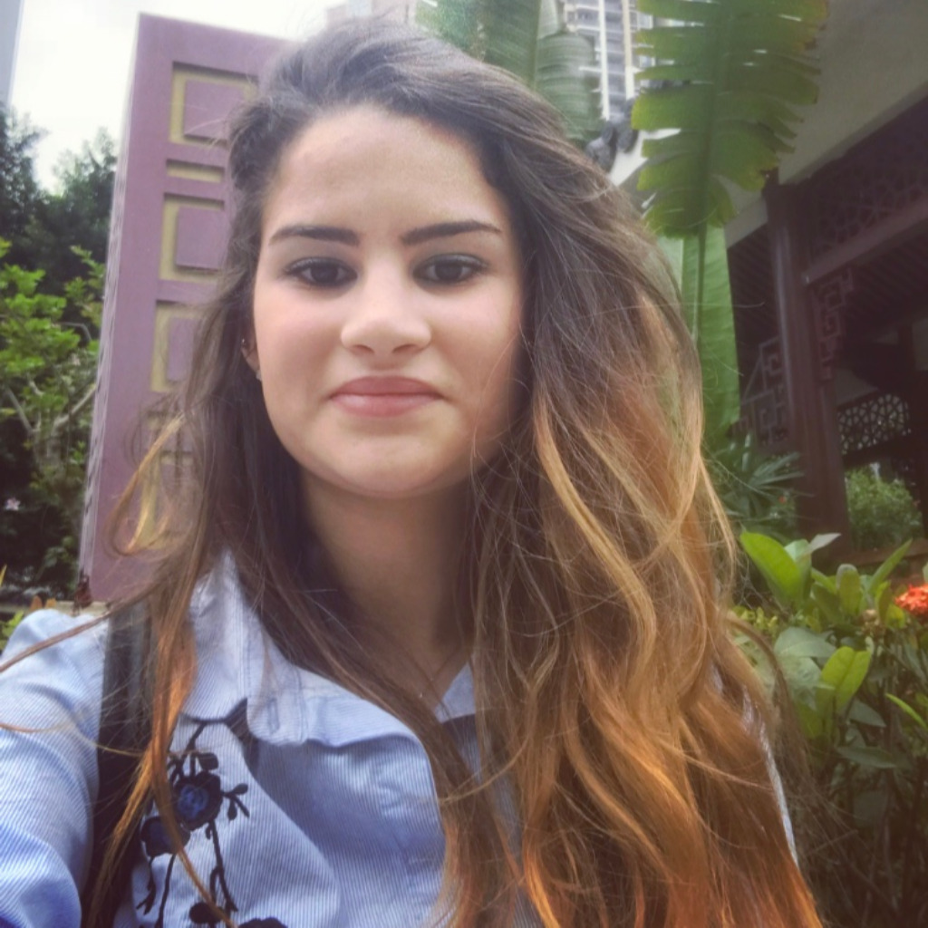 Hend Ajej - software developer - south | XING