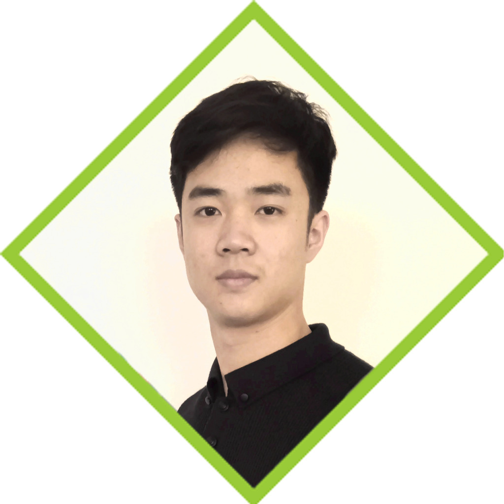 David Negulyayev - Full stack engineer - Balizero | XING