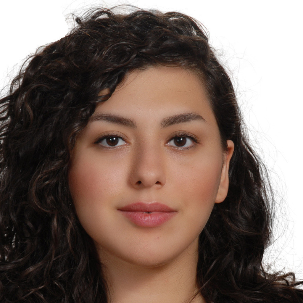 Sepideh Jahangiri - Cloud Customer Engineer - Smart Analytics ...