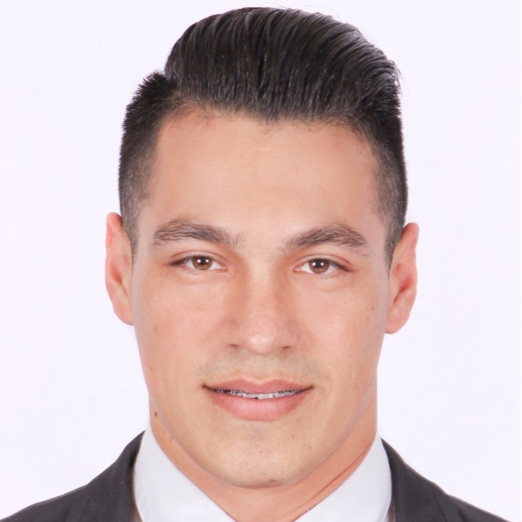 RAMON FERNANDO BELTRAN CASILLAS - ing. de procesos - CENACE | XING