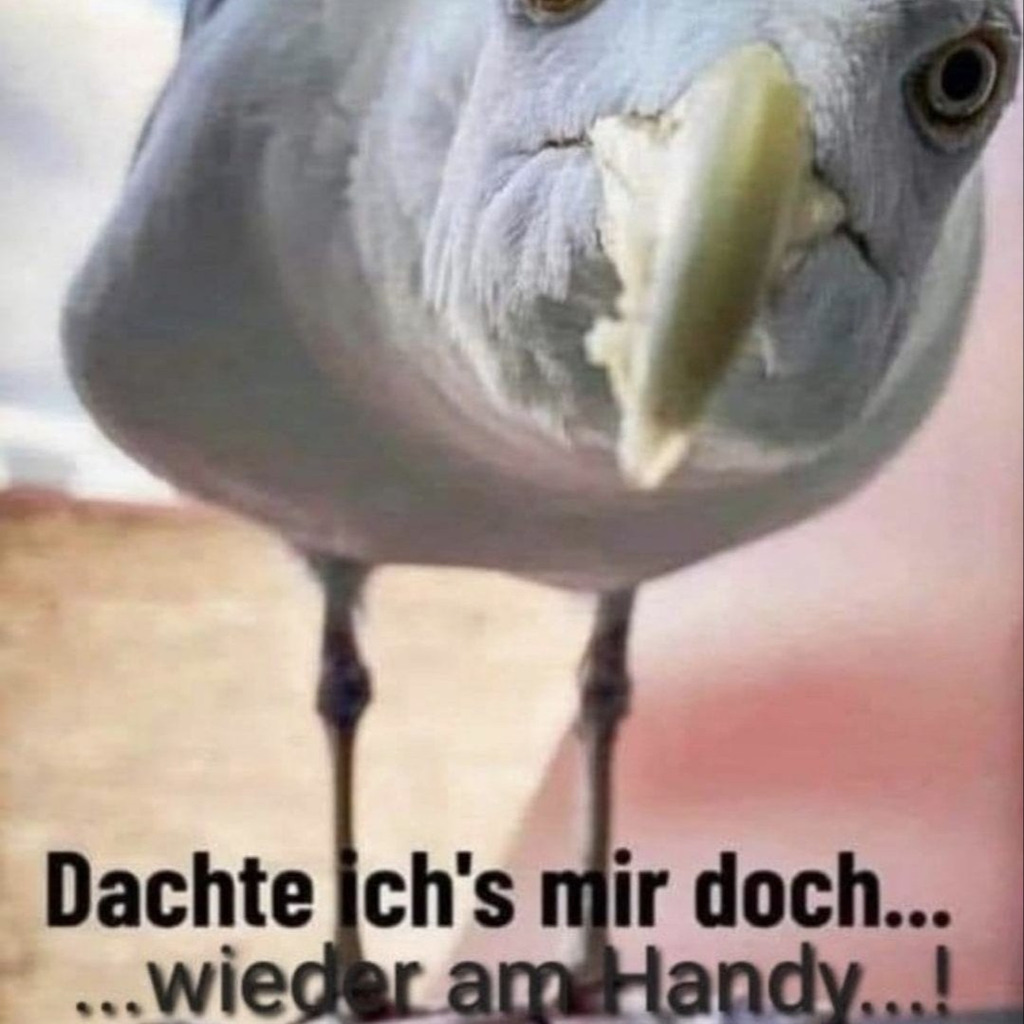 Sonja Hinz - Abteilungsleiter - Pari | XING