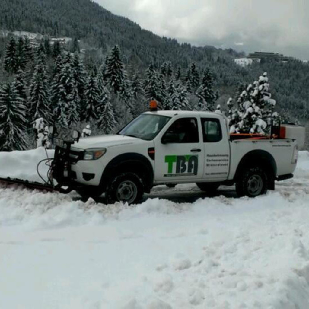 Thomas Brandner - Inhaber - TBA Hausbetreuung | XING