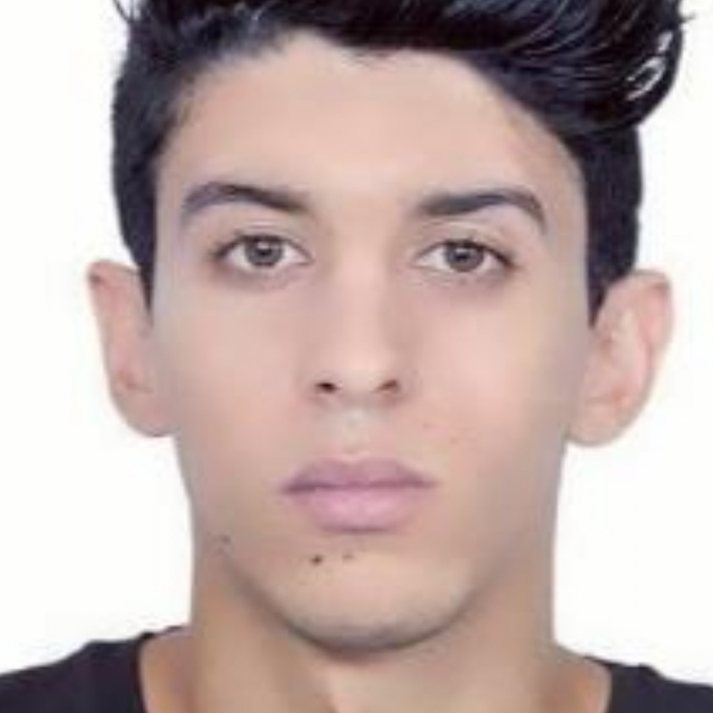 Mehdi Berrada Elazizi - Freelancer e-Commerce/WebMarketing ...