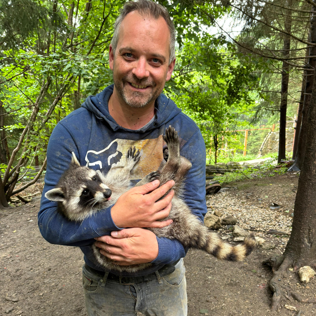 Marc Leitner - Gebietsverkaufsleiter Süd/AT/CH - tecfor care GmbH | XING