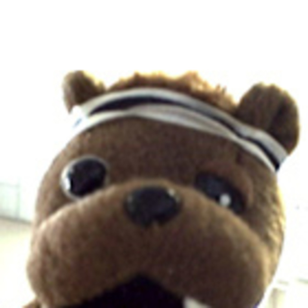 Zoe Lynam - Managing Director - LYNAM CONSULTING Ltd | XING