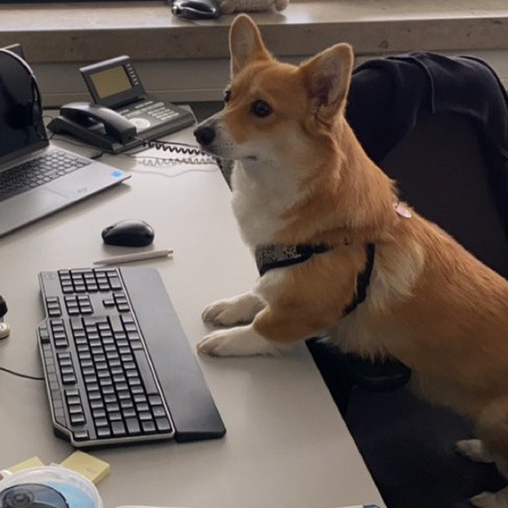 Melina Vollmer - Personalsachbearbeiterin - Meyer & Meyer Holding SE & Co. KG | XING