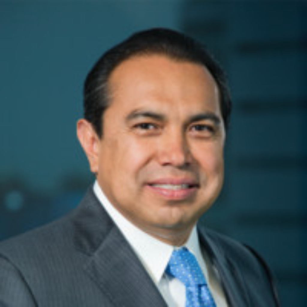 David Romero - Senior Consultant - Fund Viable Integrated Services | XING