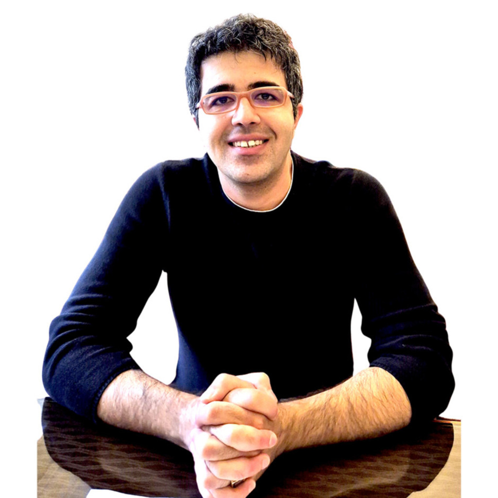 Mehdi Salimi - Web Developer - Sepanta Network Solutions | XING