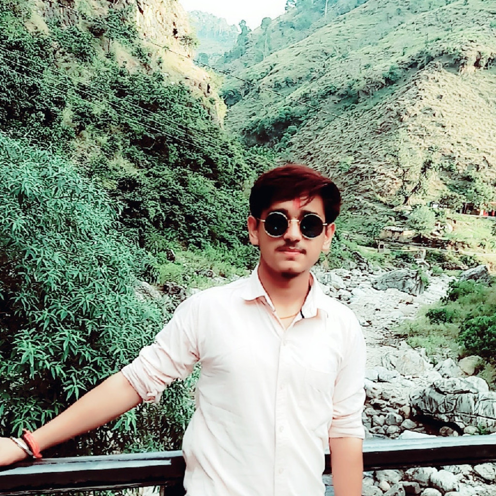 Kshitiz Shukla - Commercial traveller - Hindustani Traveller | XING