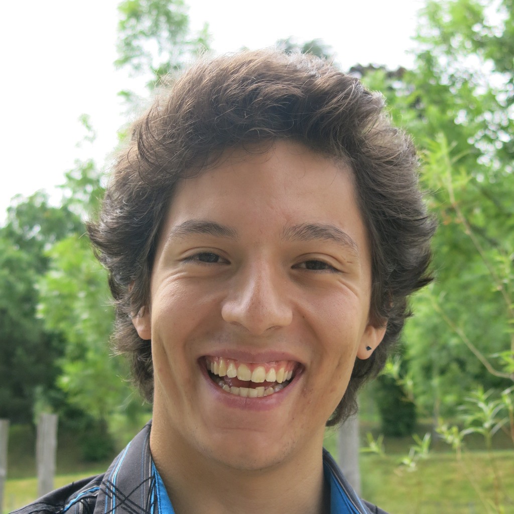 Julian Andrade - IT-Projektleiter - BKW AG | XING