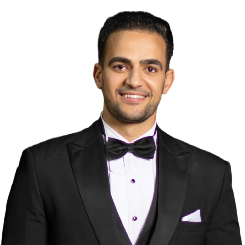 Tamer Said - Senior Network Engineer - Orange Business Services GmbH | XING