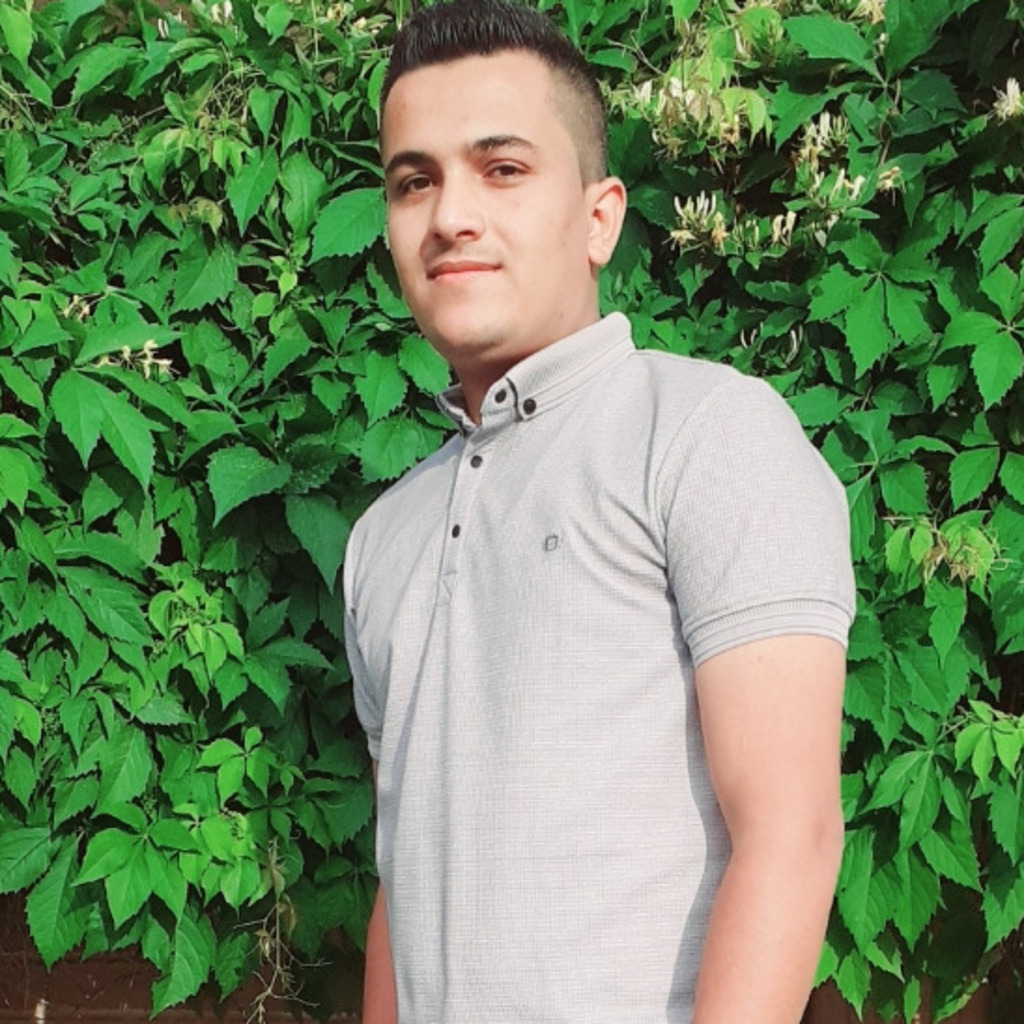 Ibrahim Alabdullah - Data Analyst - Save the Children International | XING