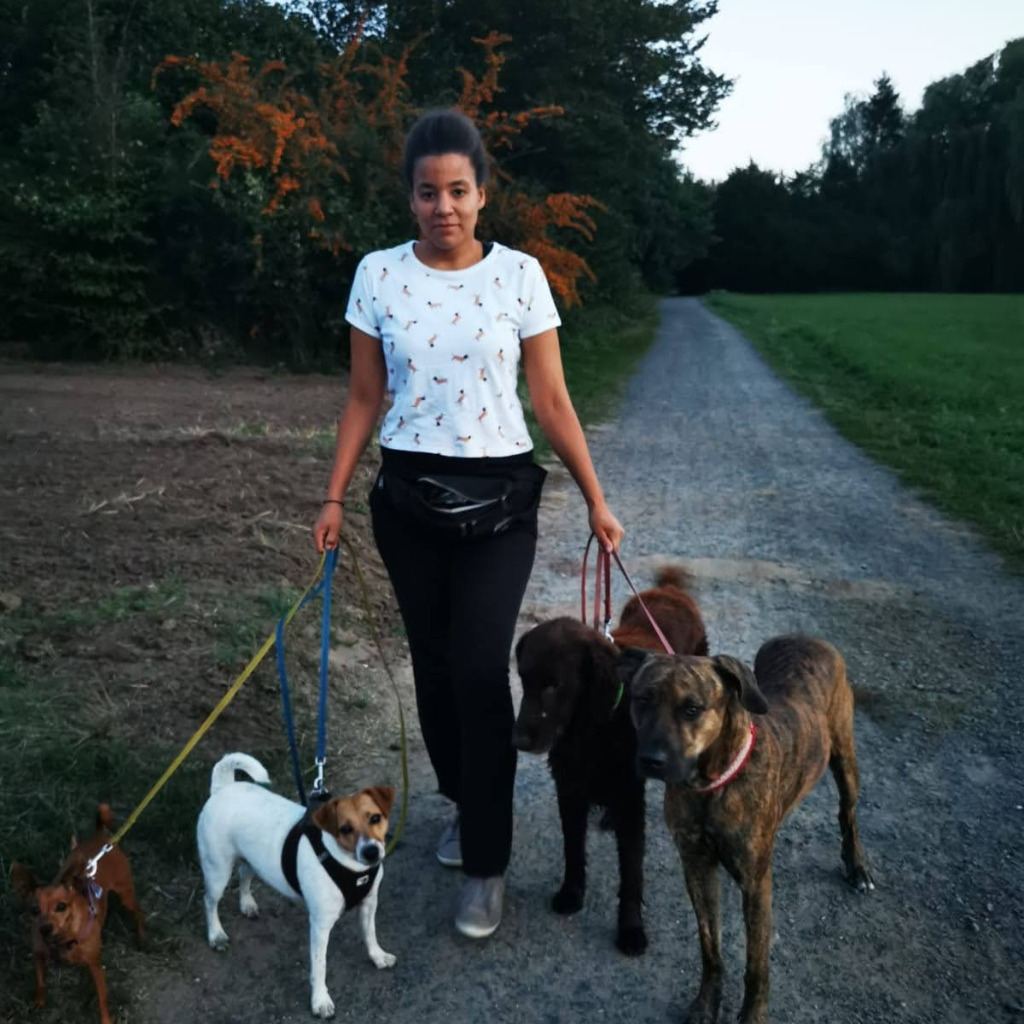 Angélique Bauer - Inhaberin - Pfotenclique | XING