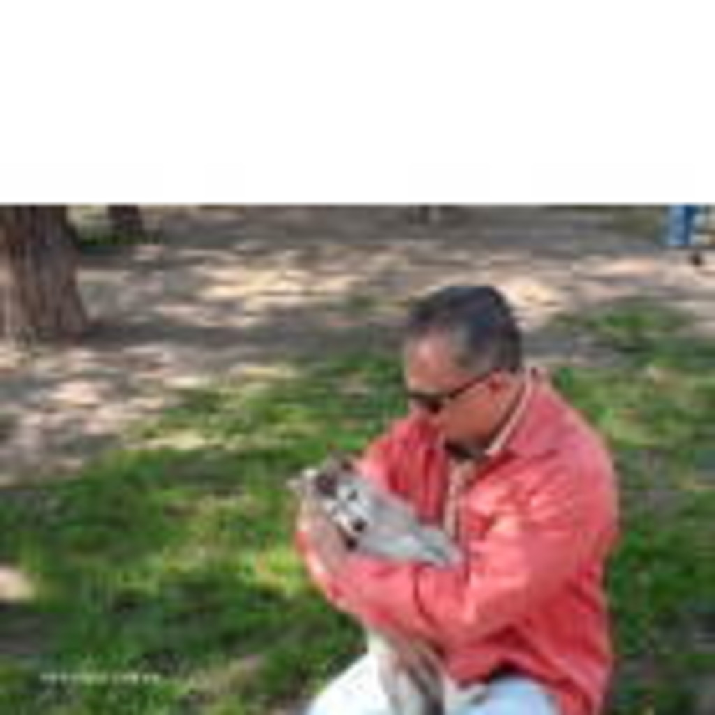 Alper Tuncer - işletmeci - ayvalık beach hotel | XING