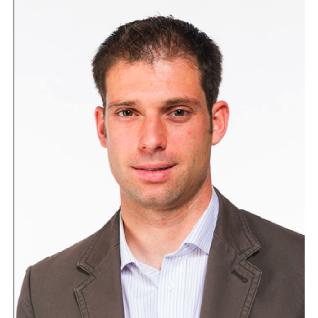 Peter Grimm - Sales Application Engineer - Maxwell Technologies SA | XING