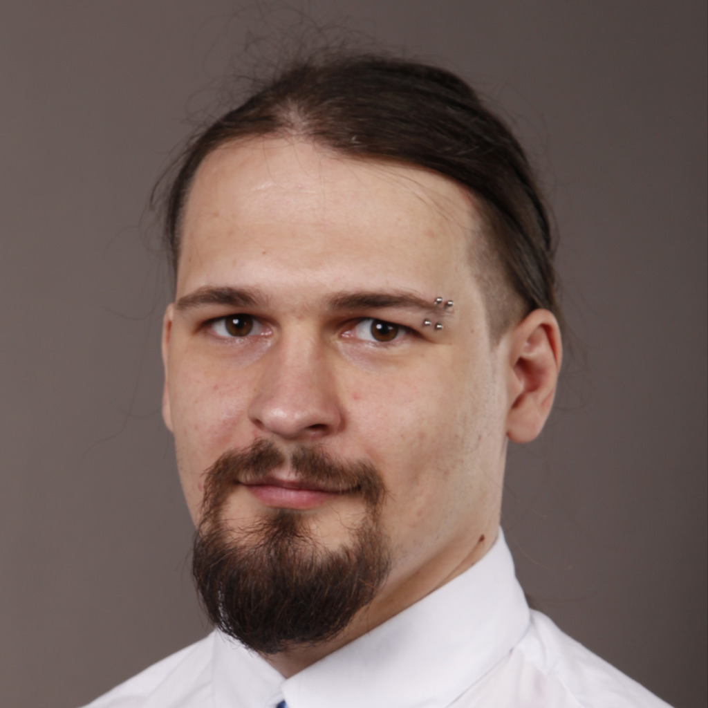 Mikhail Tsyganov - Software Developer - Safeguard GmbH | XING