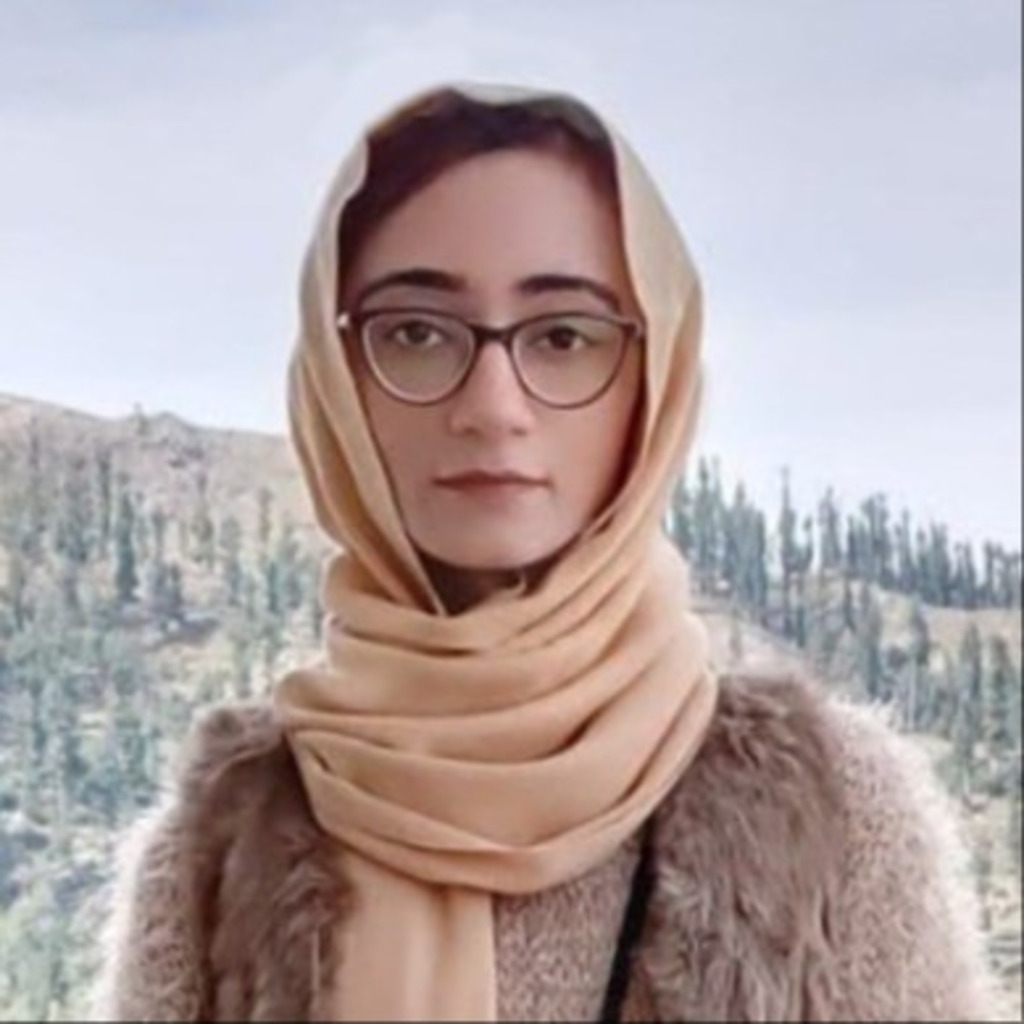 Tayyaba Ambreen - Senior Java Developer - Optymyze Technologies | XING