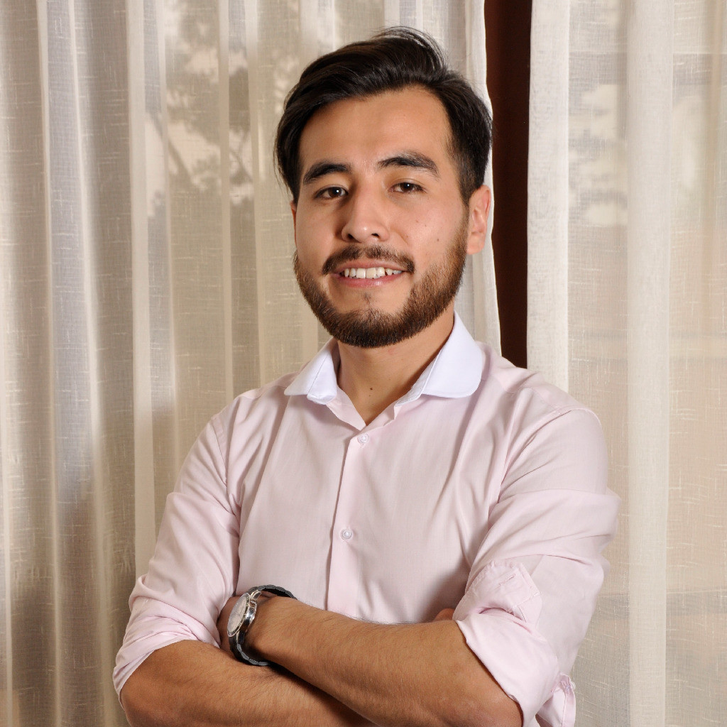 Jose Mauricio Andia Carvallo - Berater - Ministerio de Gobierno de ...