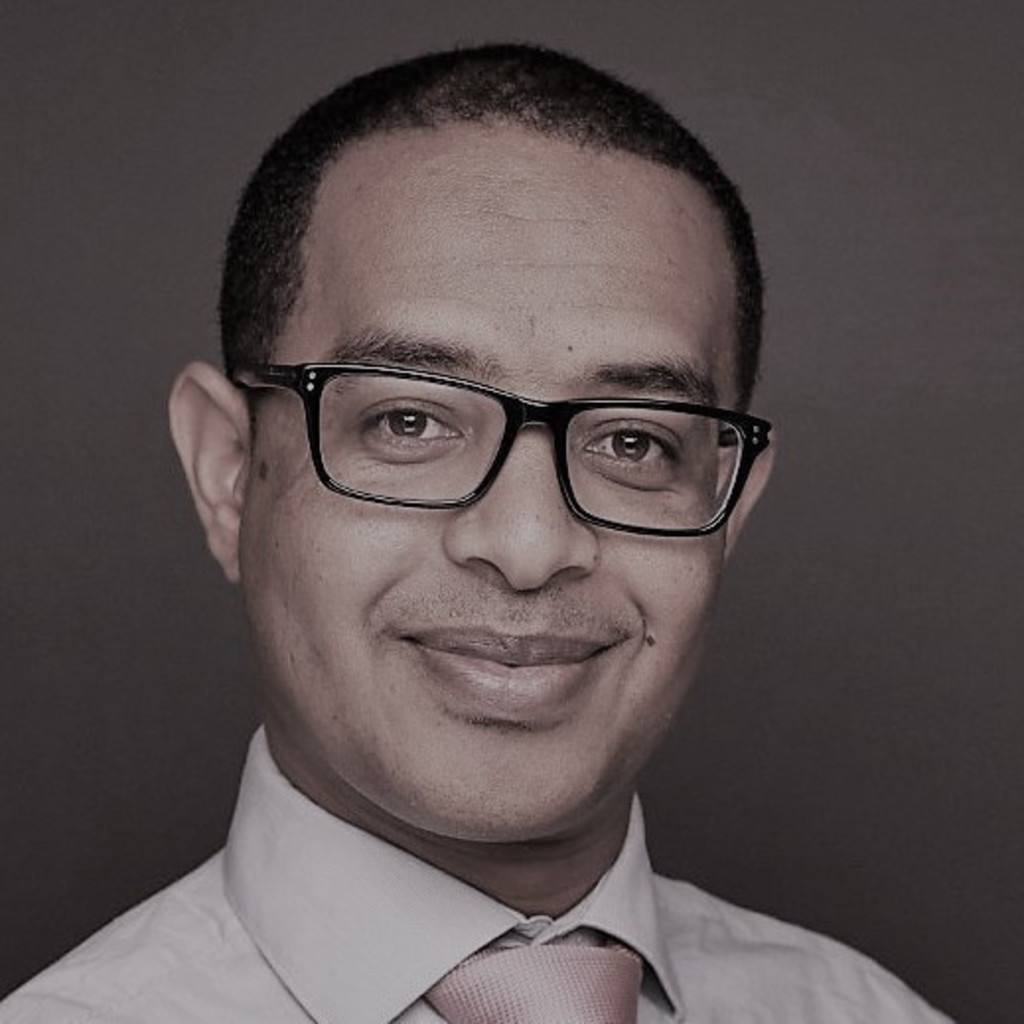 Dr. Mehari Haile - Projektingenieur - Ingenieurbüro in BW | XING