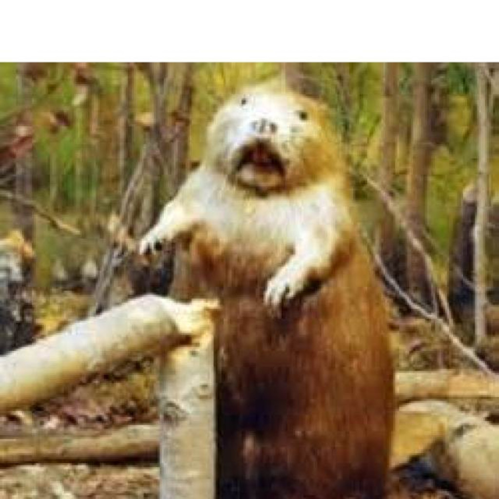 Jon Waring San Dimas - Futures Trading - comtrade financial | XING