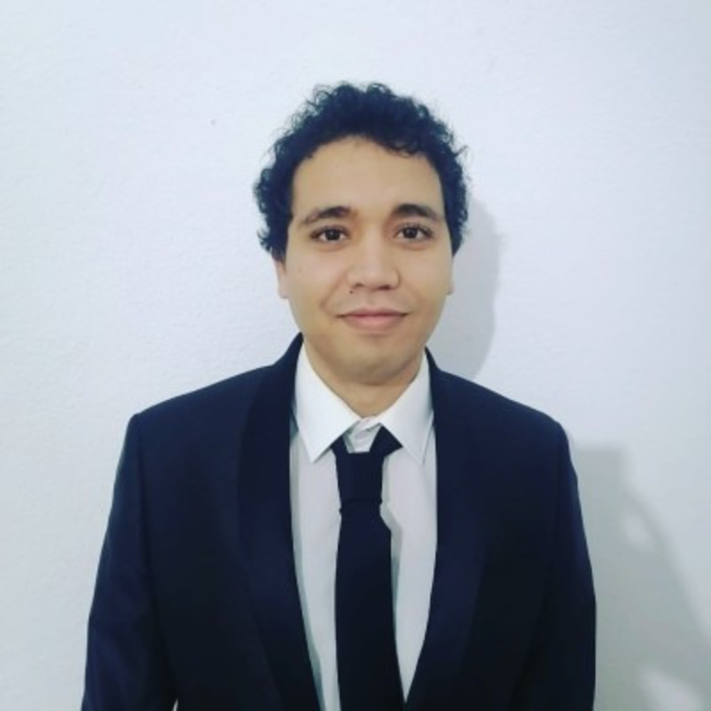 Mohamed Chebbi - full stack JS - shopmyinfluence | XING