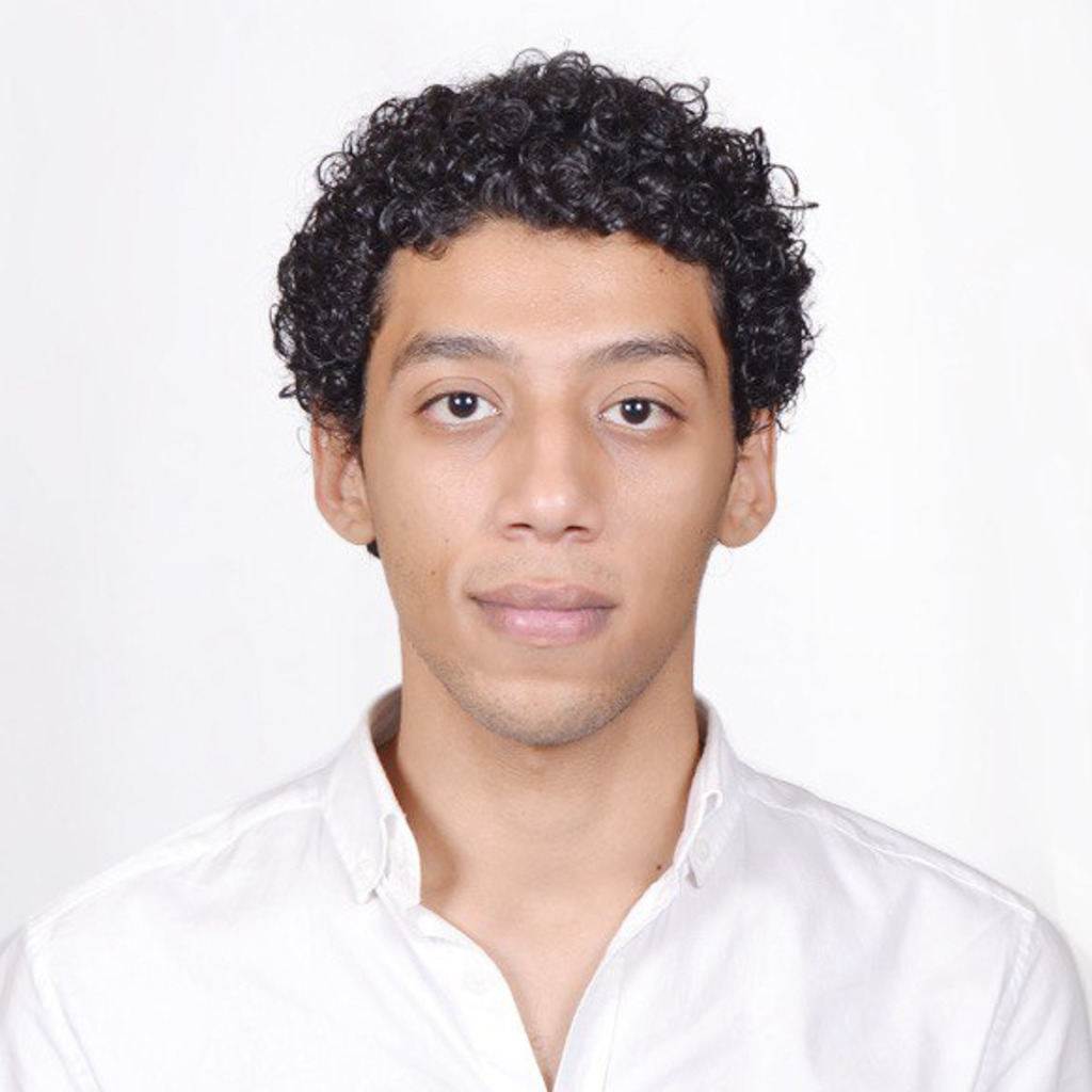 ahmed mohamed - Accountant - Mag Group | XING ahmed mohamed - Accountant - Mag Group | XING