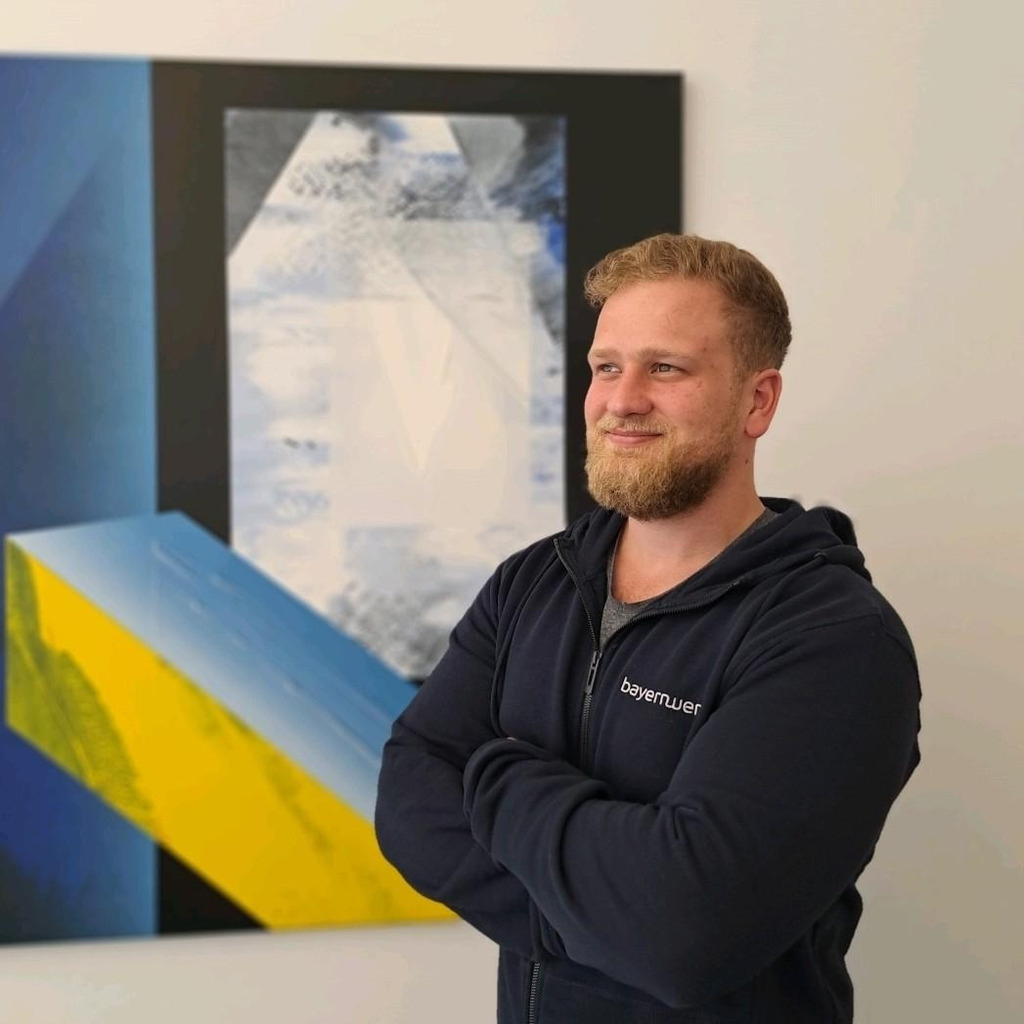 Dragan Tadic - Referent Controlling - Bayernwerk AG | XING