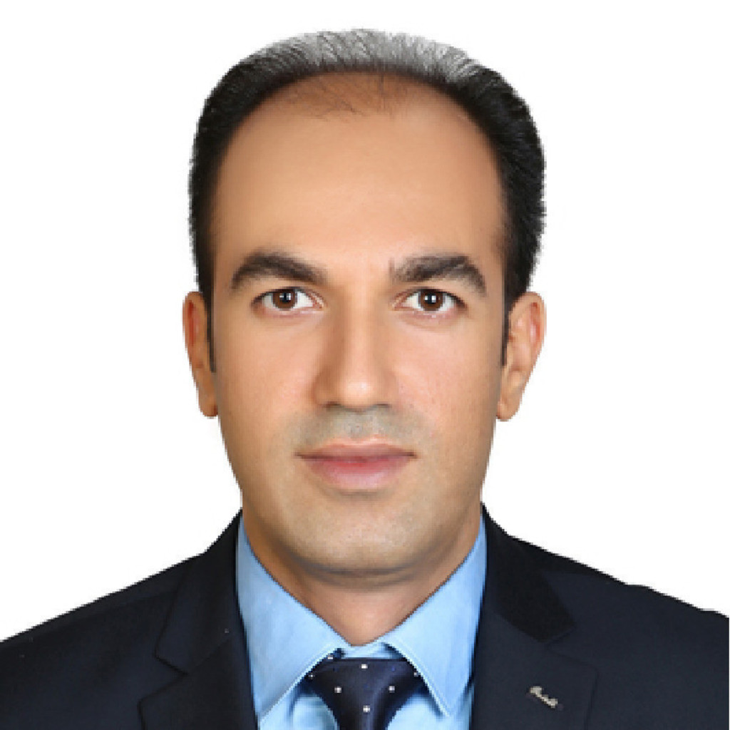 Ing. Aram Barazandeh - .NET Developer - BridgingIT GmbH | XING