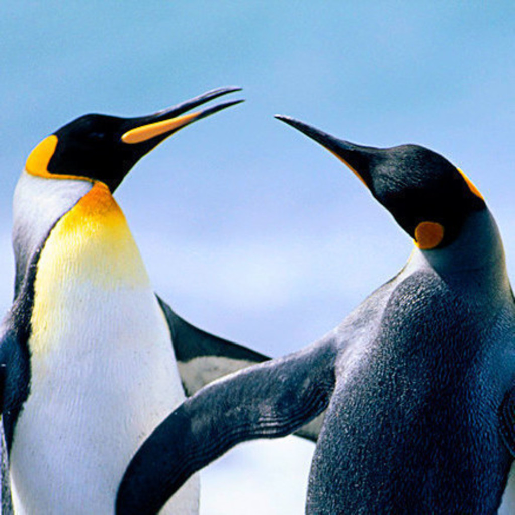 Thomas LOOS - Regionalverkaufsleiter - TIMAC Agro Deutschland GmbH | XING