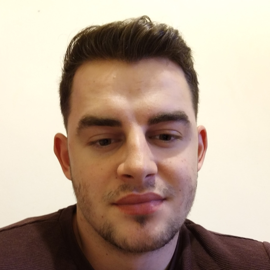 David Pascalau - Logistics Coordinator - Ewals Cargo Care | XING