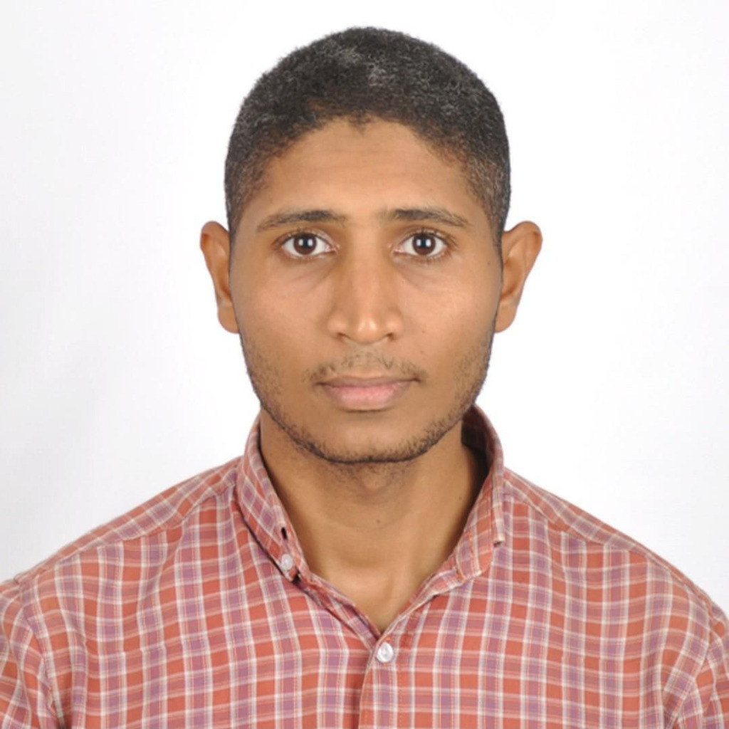 Mohamed Kamel - Automation Engineer - GB Auto | XING