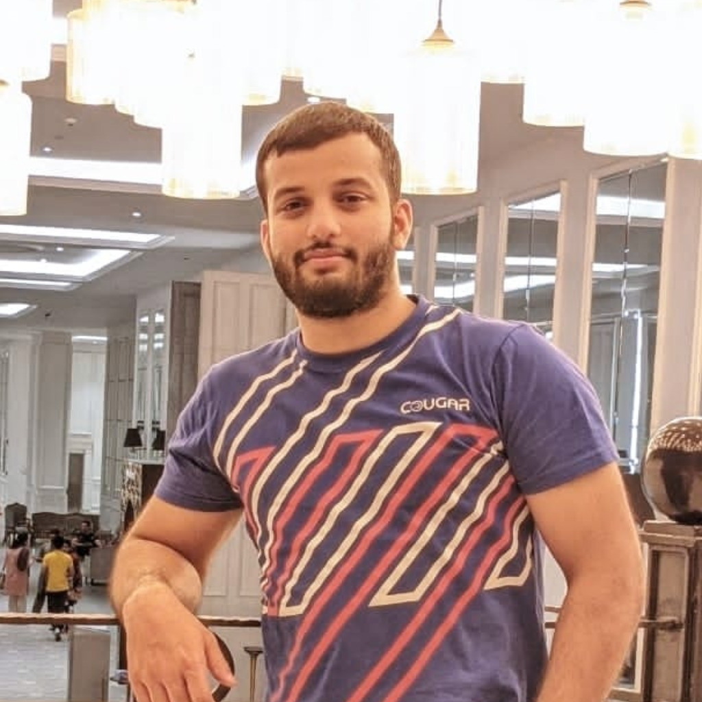 Hafiz Usman Tahir - Senior Game Developer - Finz Games | XING