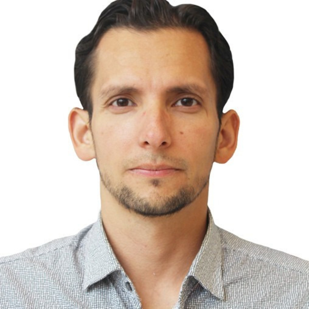 Felipe Paez N - Software Developer - 3S Latam | XING